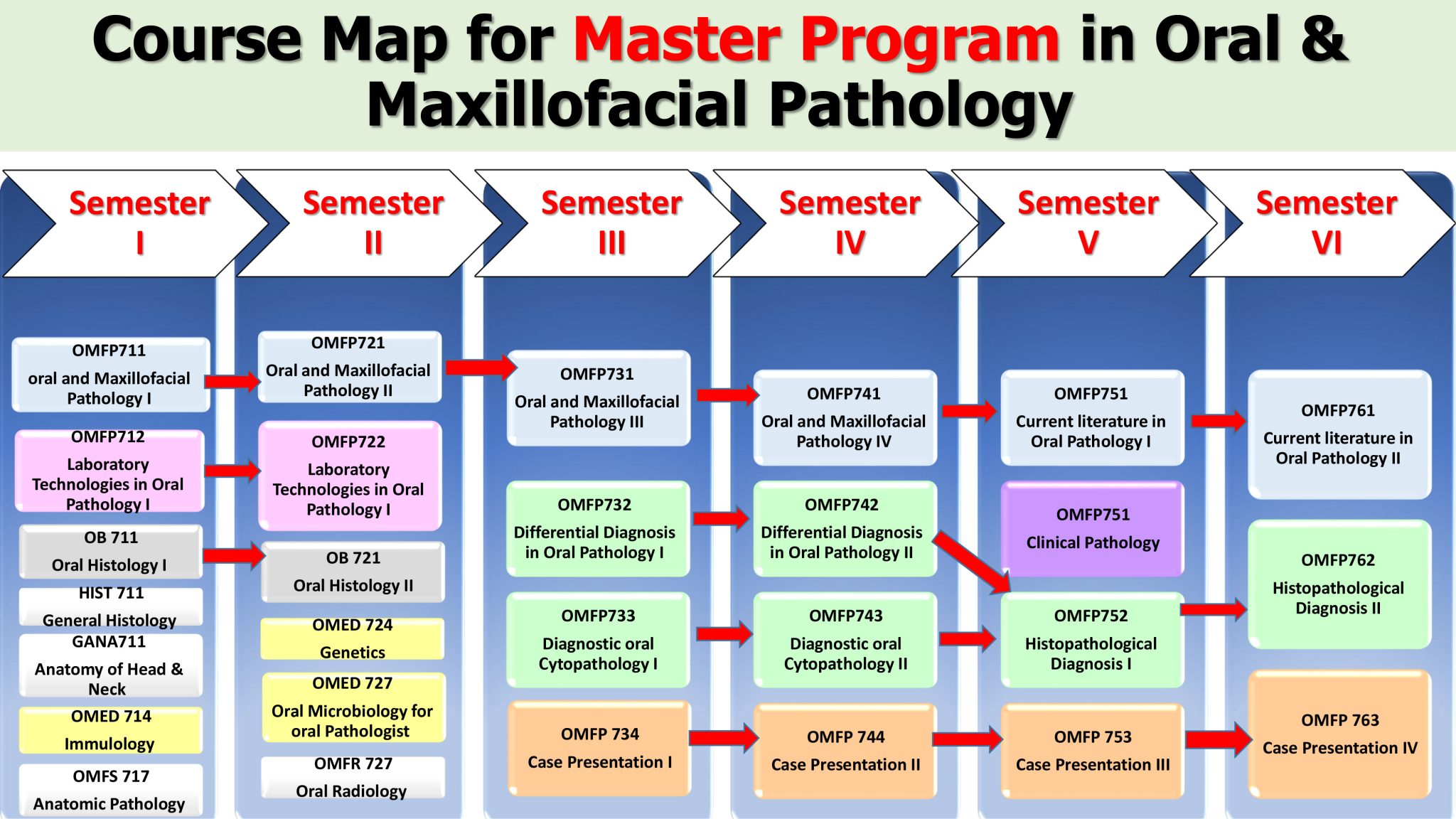 Master Program – Oral and Maxillofacial Pathology – Cairo University